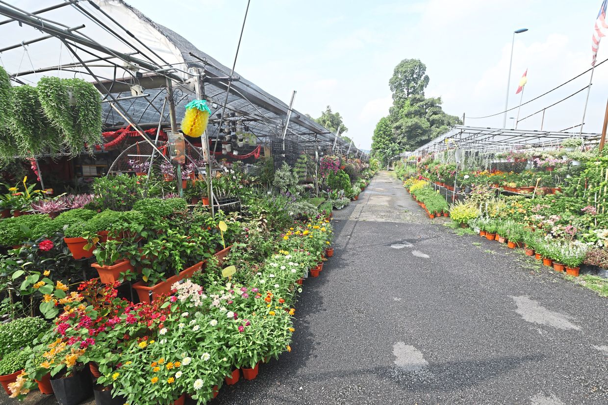 Sungai Buloh operators still hoping for reprieve