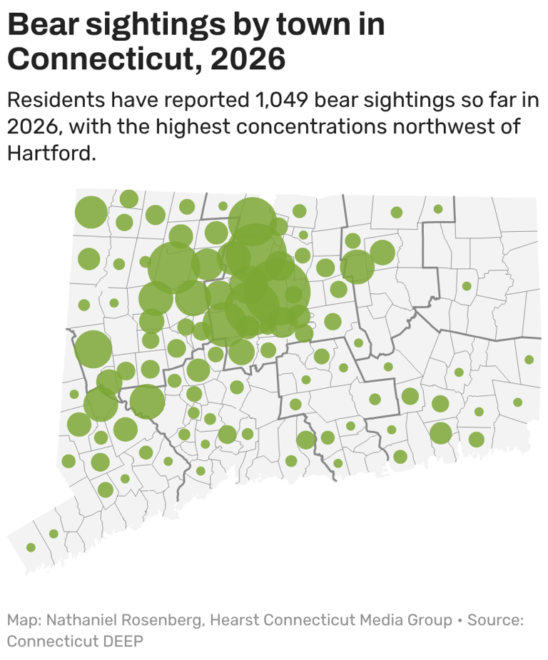 Connecticut bear sightings rise as warmer weather spreads across state