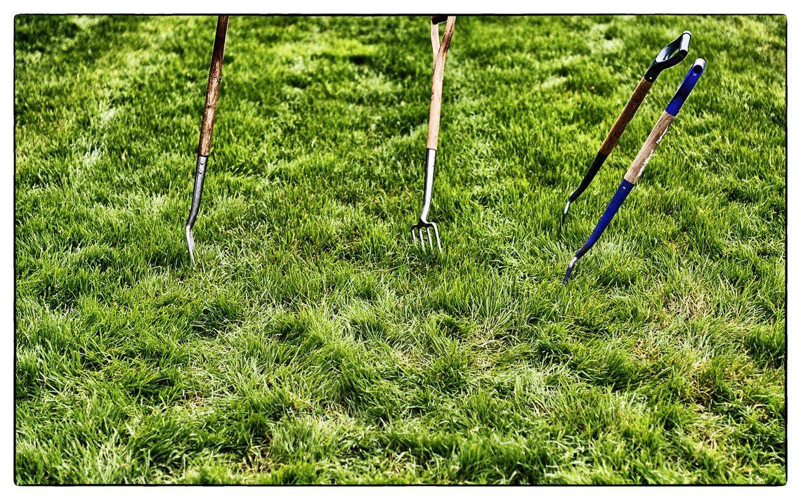 Spring yard work is getting easier with these tools that save time ...