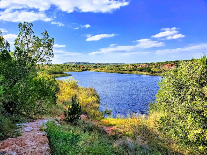 A Texas escape where canyon hiking, wildlife encounters with longhorns ...