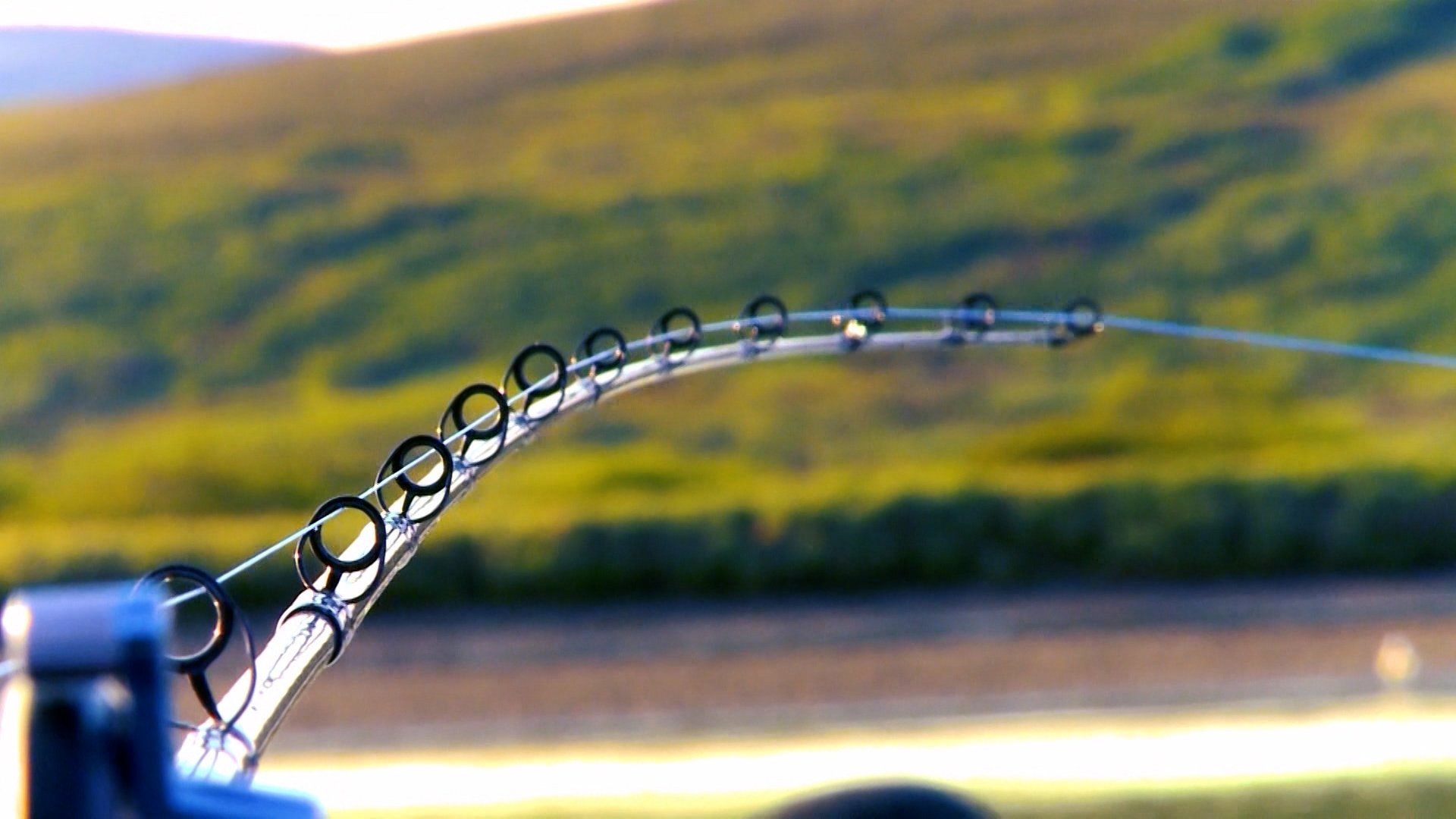 Alaska king salmon and New England thresher shark hunts (2 of 2)