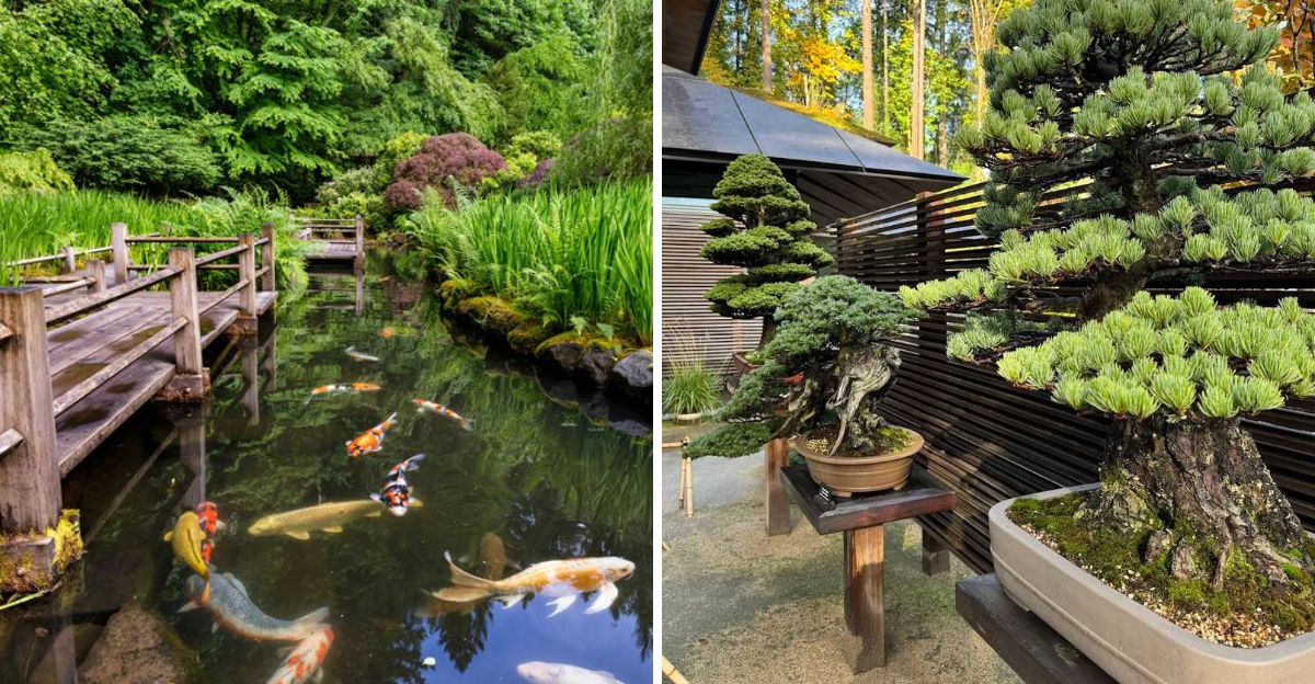 The most authentic Japanese garden outside of Japan is tucked away in ...