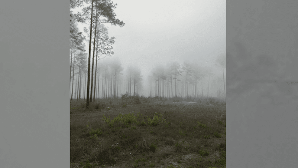 Families near Woodbury area of Marion Co. deal with smoke damage amid ...