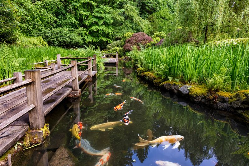 The most authentic Japanese garden outside of Japan is tucked away in ...