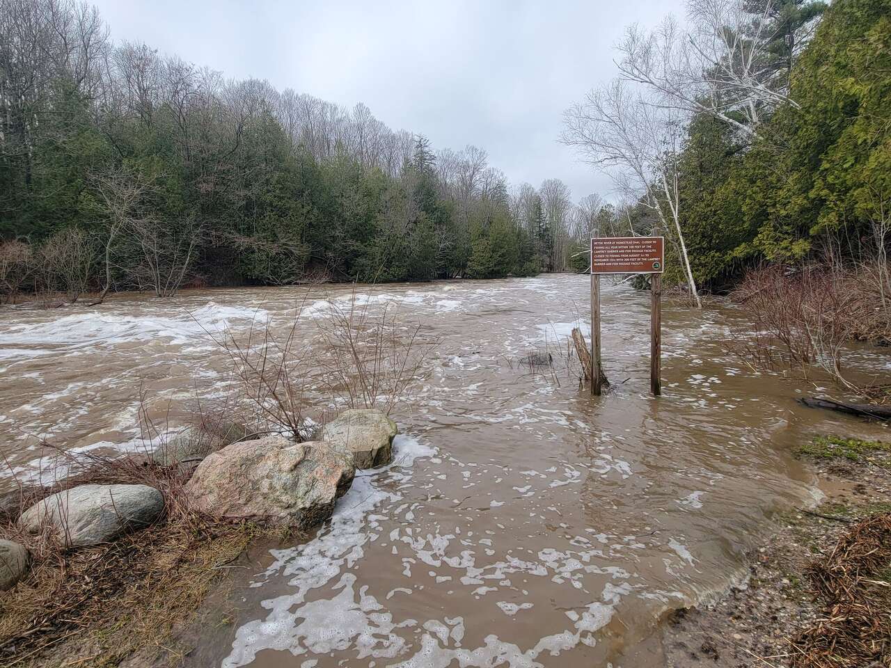 Benzie County starts recovery after floodwaters recede