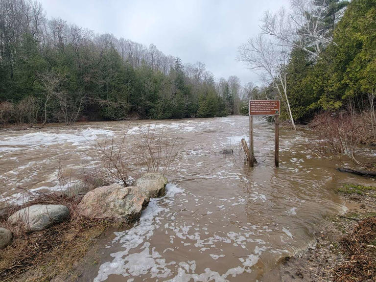 Action plan activated for Homestead Dam in Benzonia Township