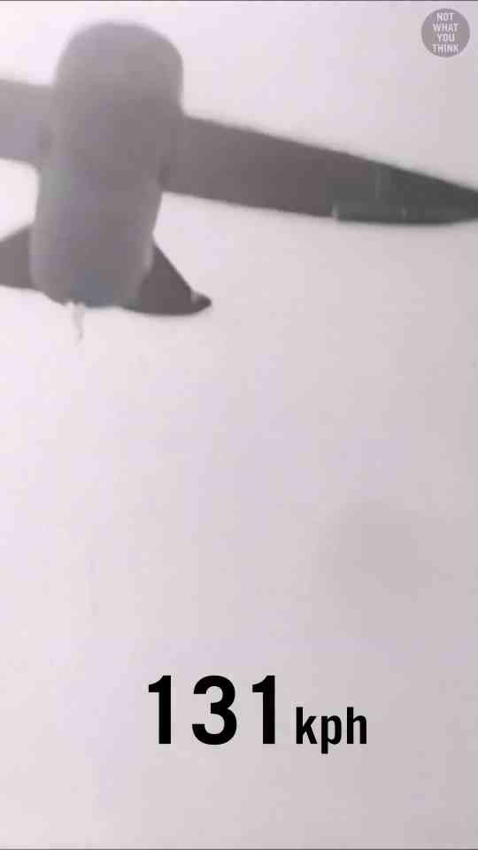 The flying toilet paper tube