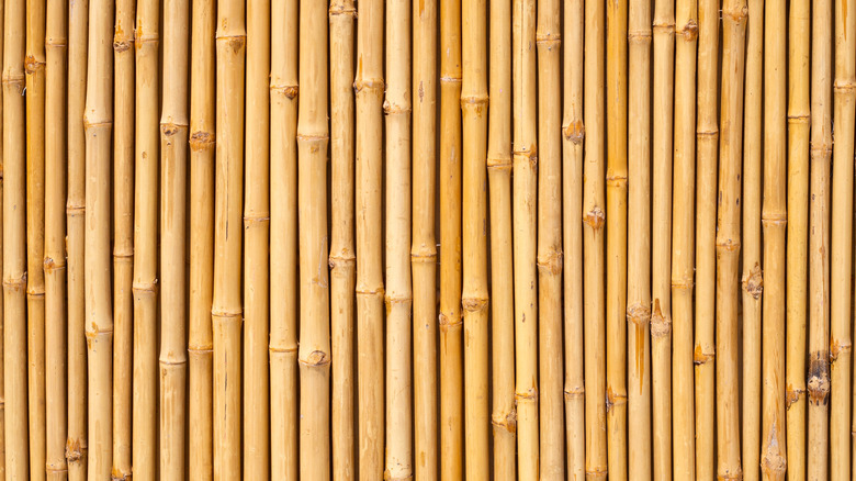 Mistakes you're making that are breaking down your bamboo fence's ...