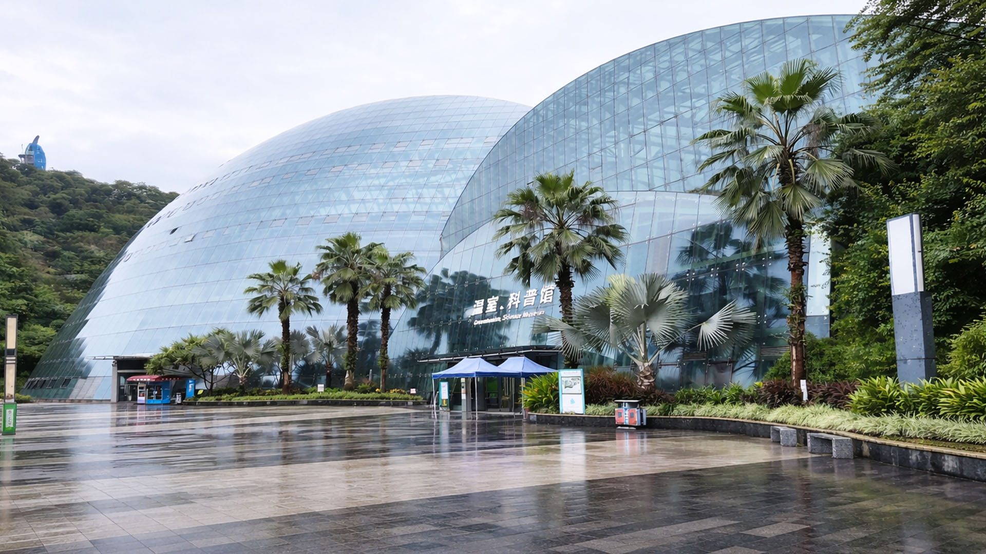 These curved glass buildings in China protect a hidden green space