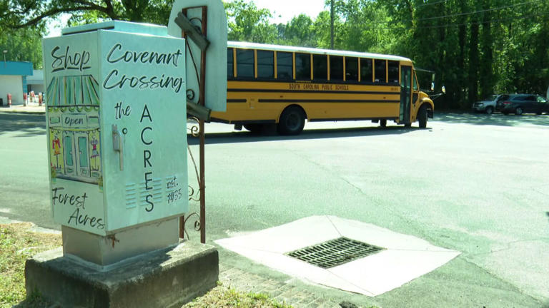 Forest Acres approves goat grazing, vape shop ordinances