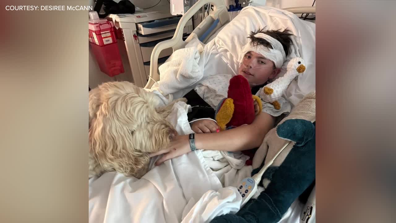 Young bicyclist hospitalized after being hit by a vehicle in Bozeman