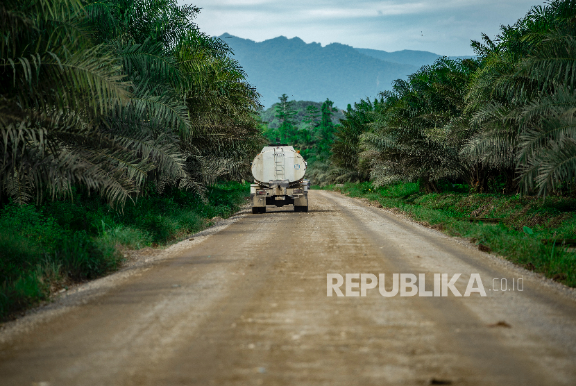 Program biodiesel dinilai efektif tekan impor BBM