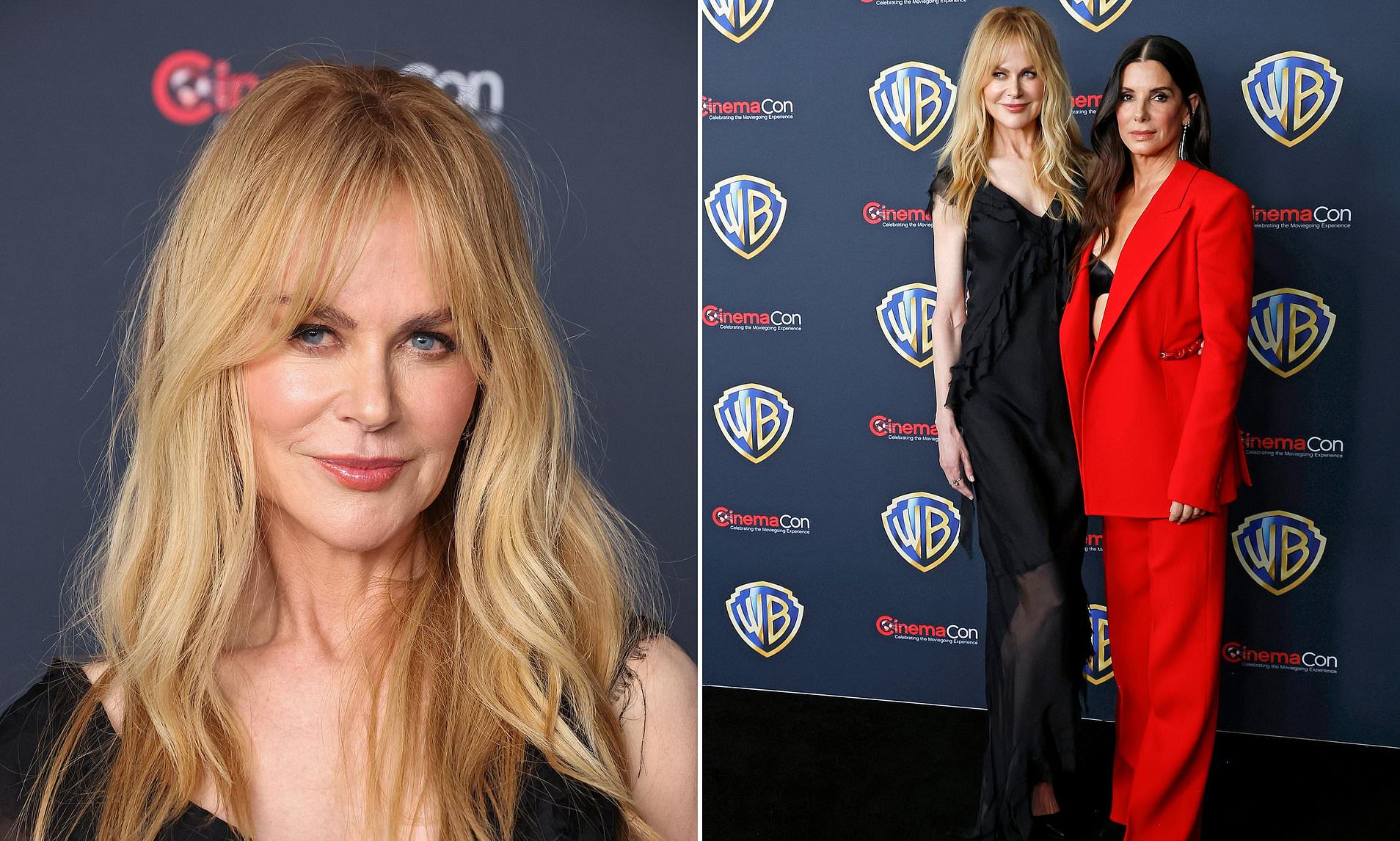 Nicole Kidman shows off thin figure in a sheer black dress alongside ...