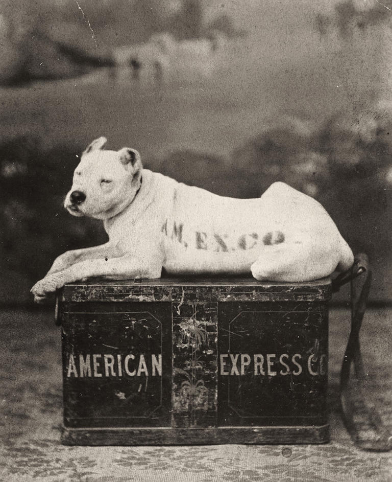 How 176-year-old American Express became an elite cultural symbol
