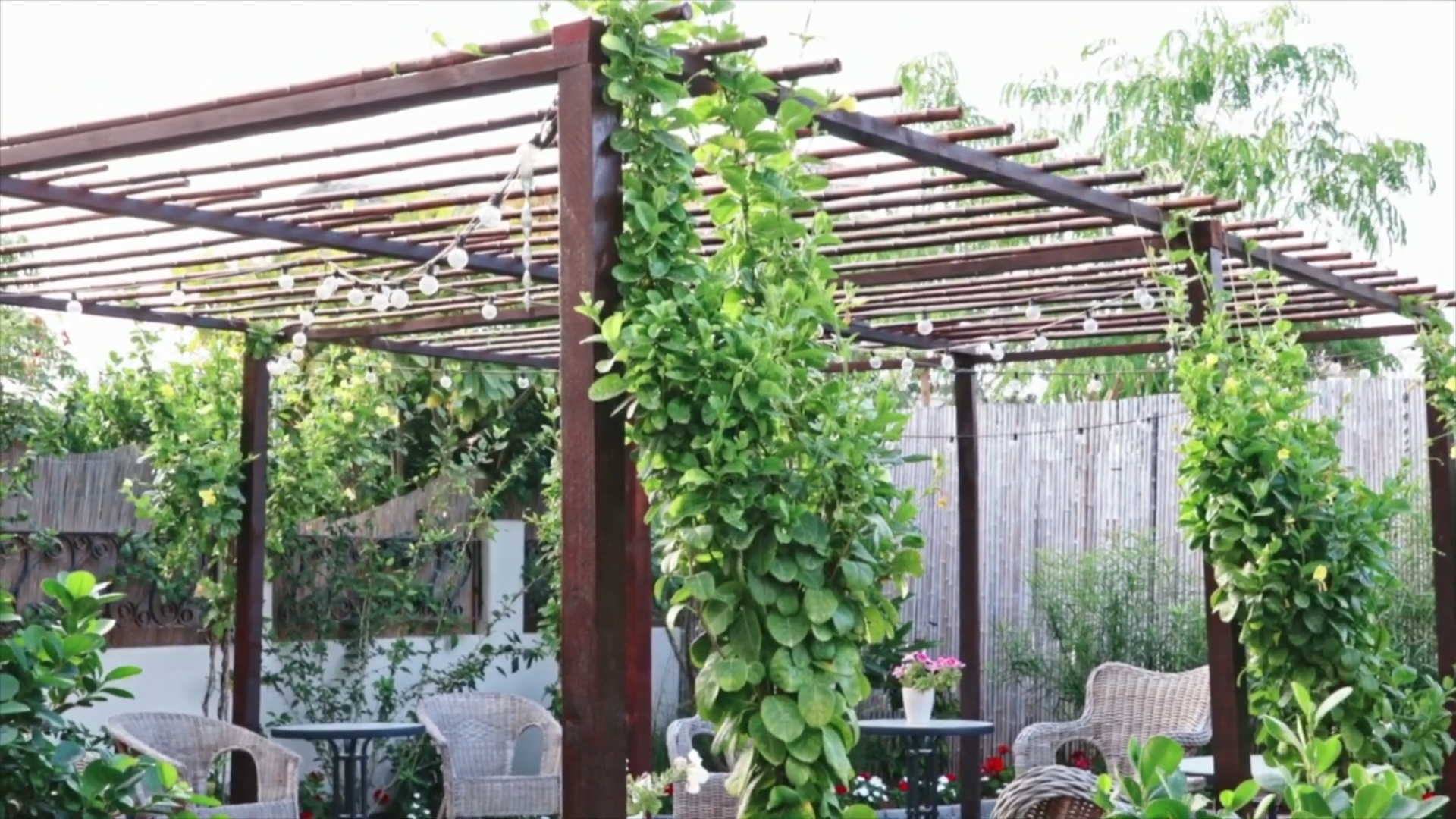 Watch how the simplest backyard improvements can have the biggest payoff