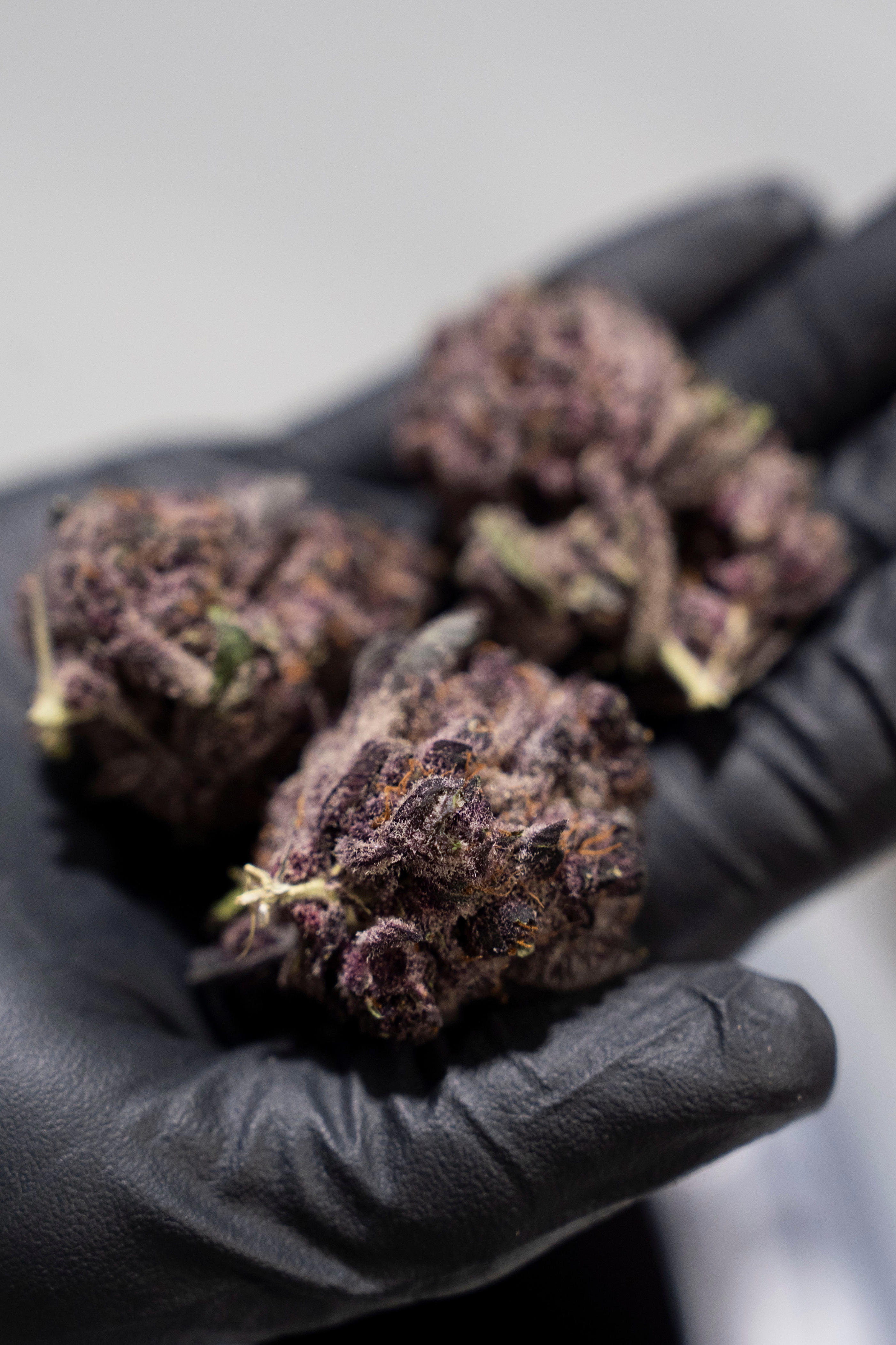 What's the new law for THC in Tennessee? Ahead of 4/20, see cannabis rules