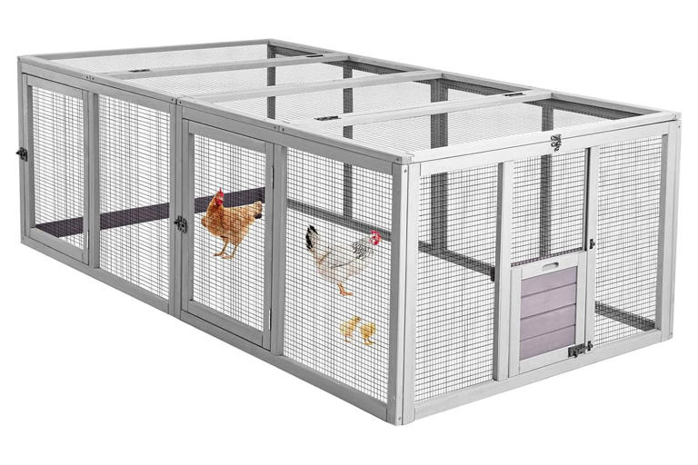 Amazon has the cutest chicken coop that looks just like a tiny house—it ...