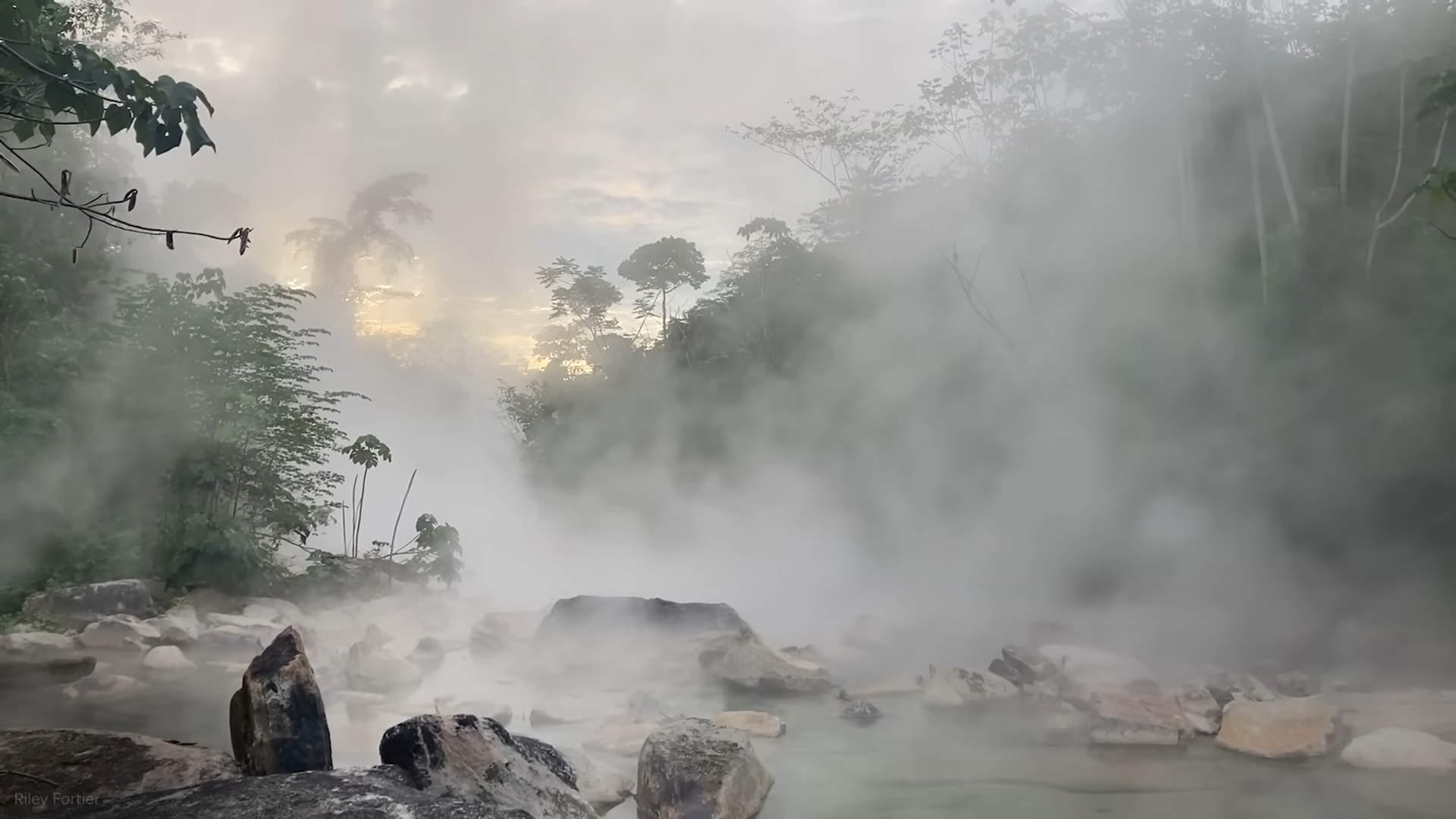 A 185°F river was found deep in the Amazon - and it can boil animals alive