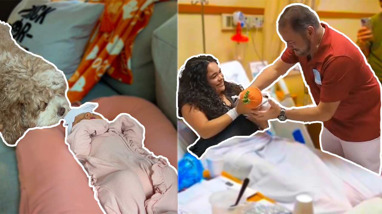 Heartwarming first meetings: babies, dogs, twins, and horses