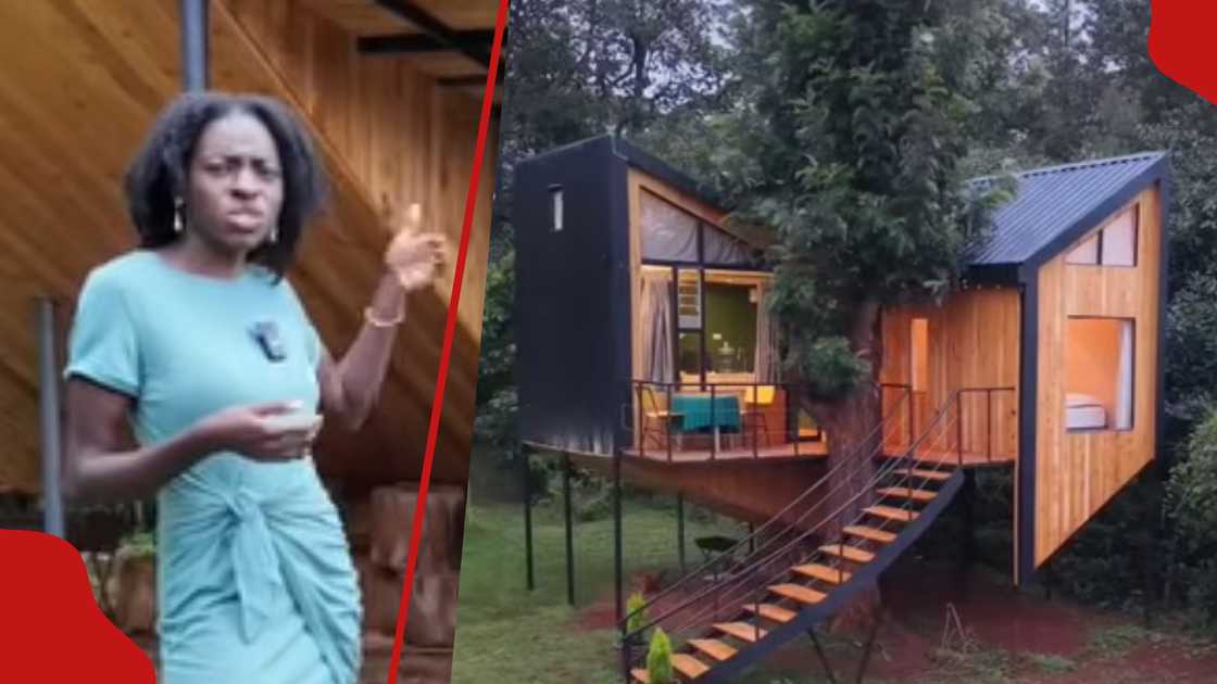 Kenyan woman builds KSh 1.5m treehouse mimicking wings in Karen: has ...