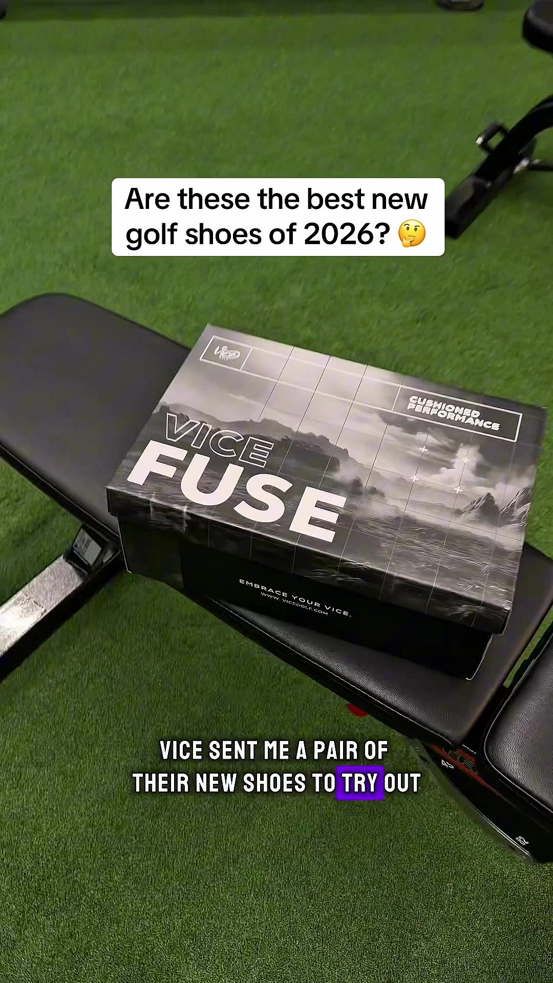 Vice Fuse shoe review 2026