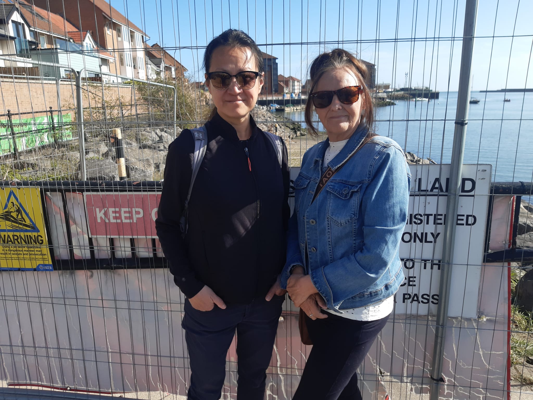 Huge row erupts between Sunderland Marina and wildlife group over swan ...