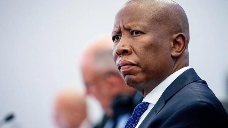 Leadership on trial: Malema sentencing and the cost of political ...