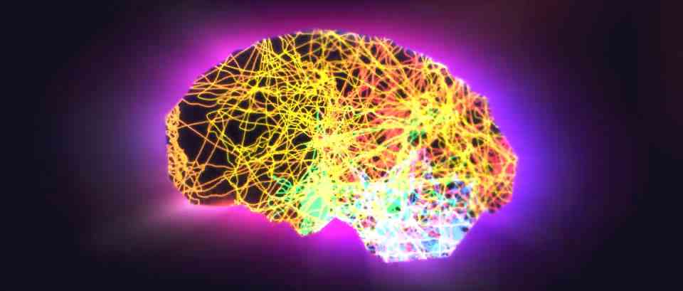 Who thought this was a good idea - they injected people with DMT