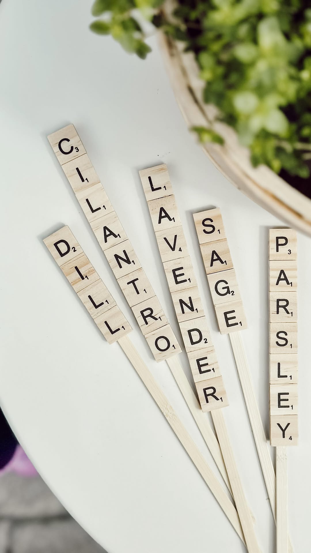 Budget friendly DIY plant labels using Scrabble