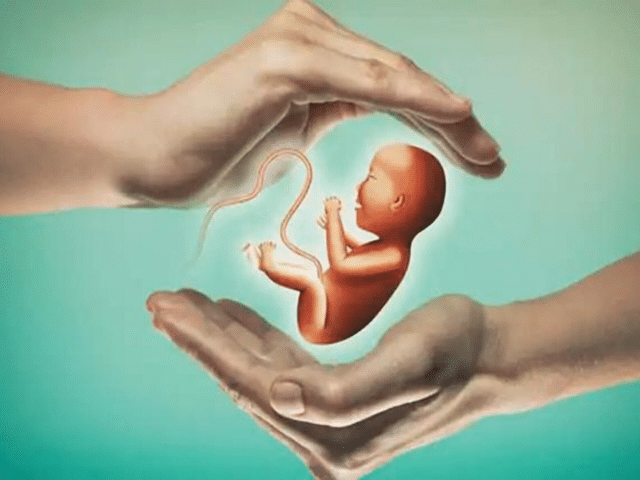 IVF fertility treatment: Is IVF truly 100% successful? A comprehensive ...