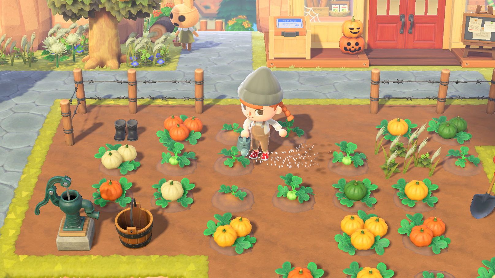 Top 25 details in Animal Crossing you probably didn’t know about
