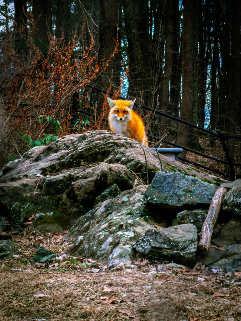 A new White Mountains attraction invites you to sweat it out this spring