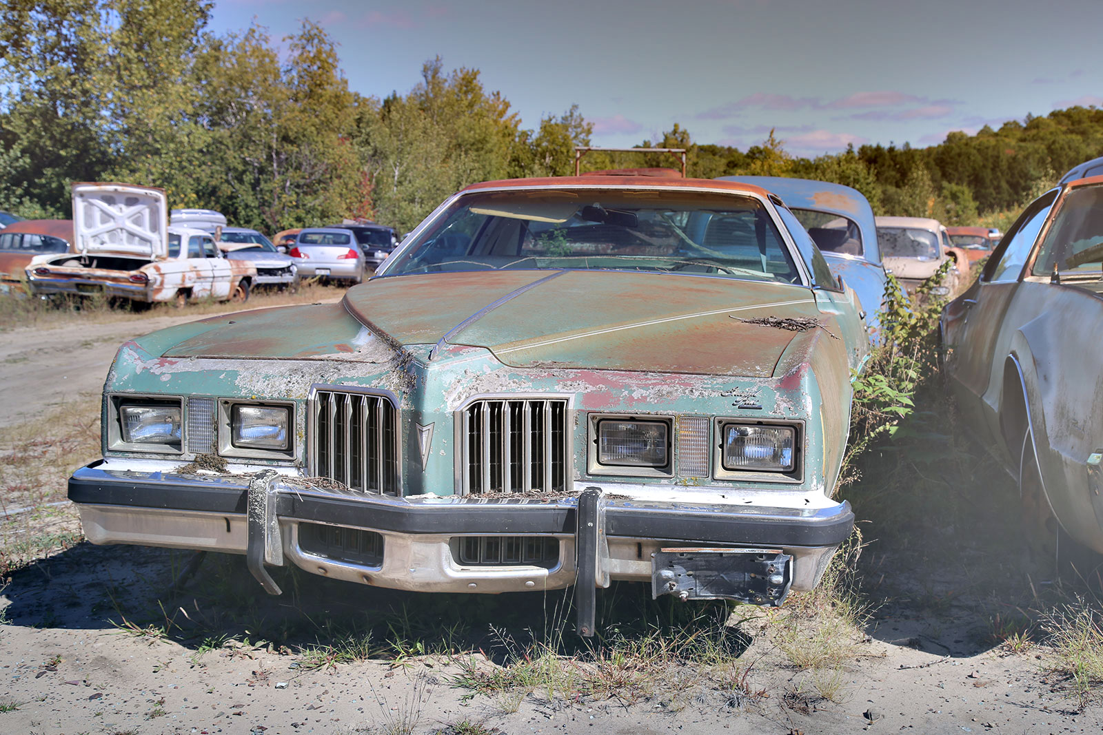 Junkyard discoveries from Cooley’s Statewide Scrap & Salvage in Eau ...