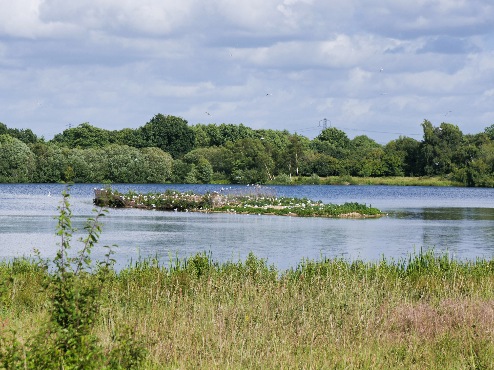 10 UK blue zones where people live longest — and what they all have in ...