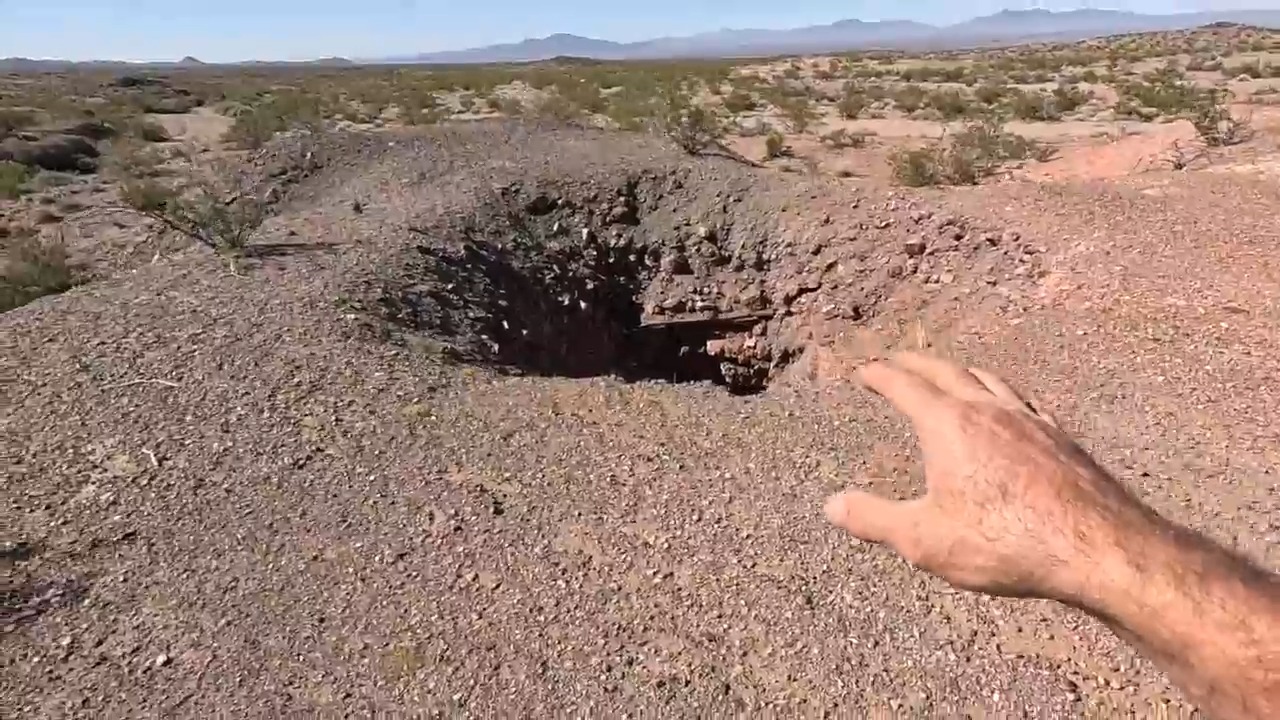 He went looking for a dead animal and found a living creature staring ...
