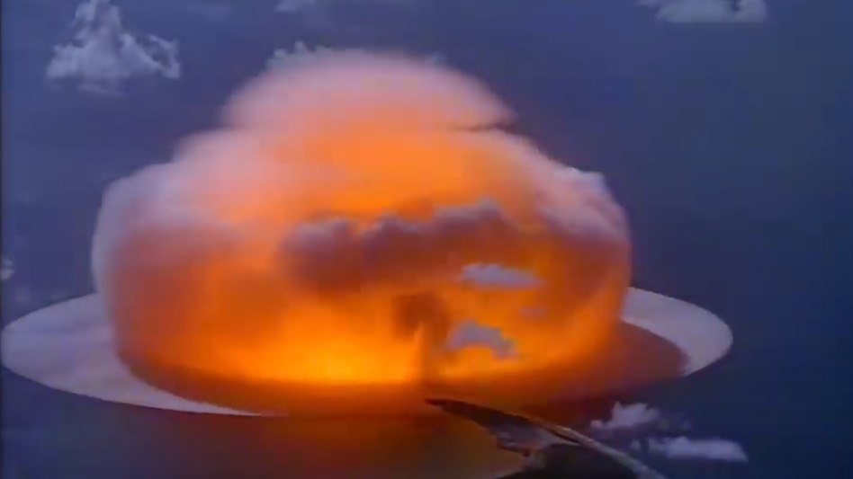 Something is happening to animals in this nuclear zone... their DNA is ...