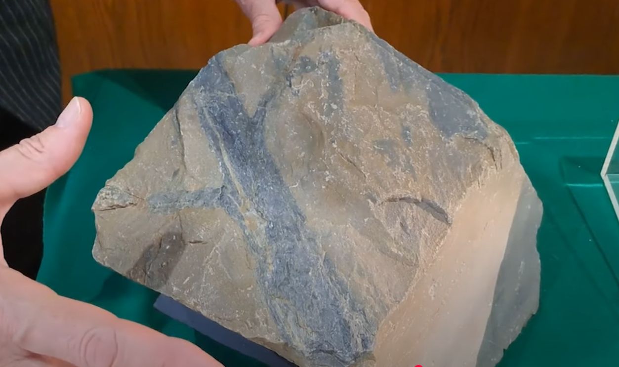 Hiker in the Italian Alps finds a 280-million-year-old link to the ...