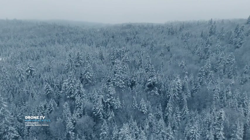 Magnificent Views of Canada's Winter Season, Filmed Captured by Drone ...