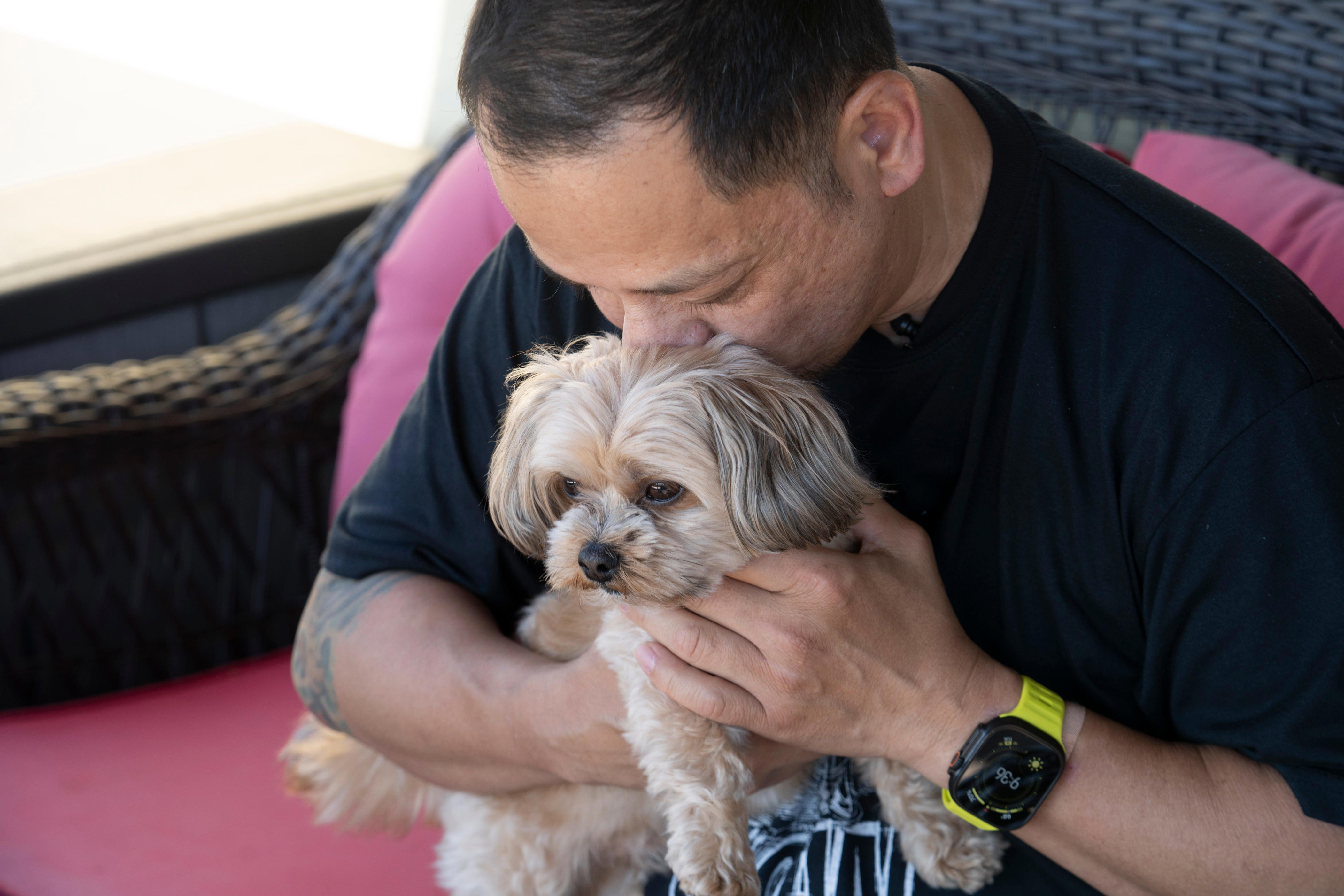 See Rocky and his Clifton family reunited after dog taken from yard