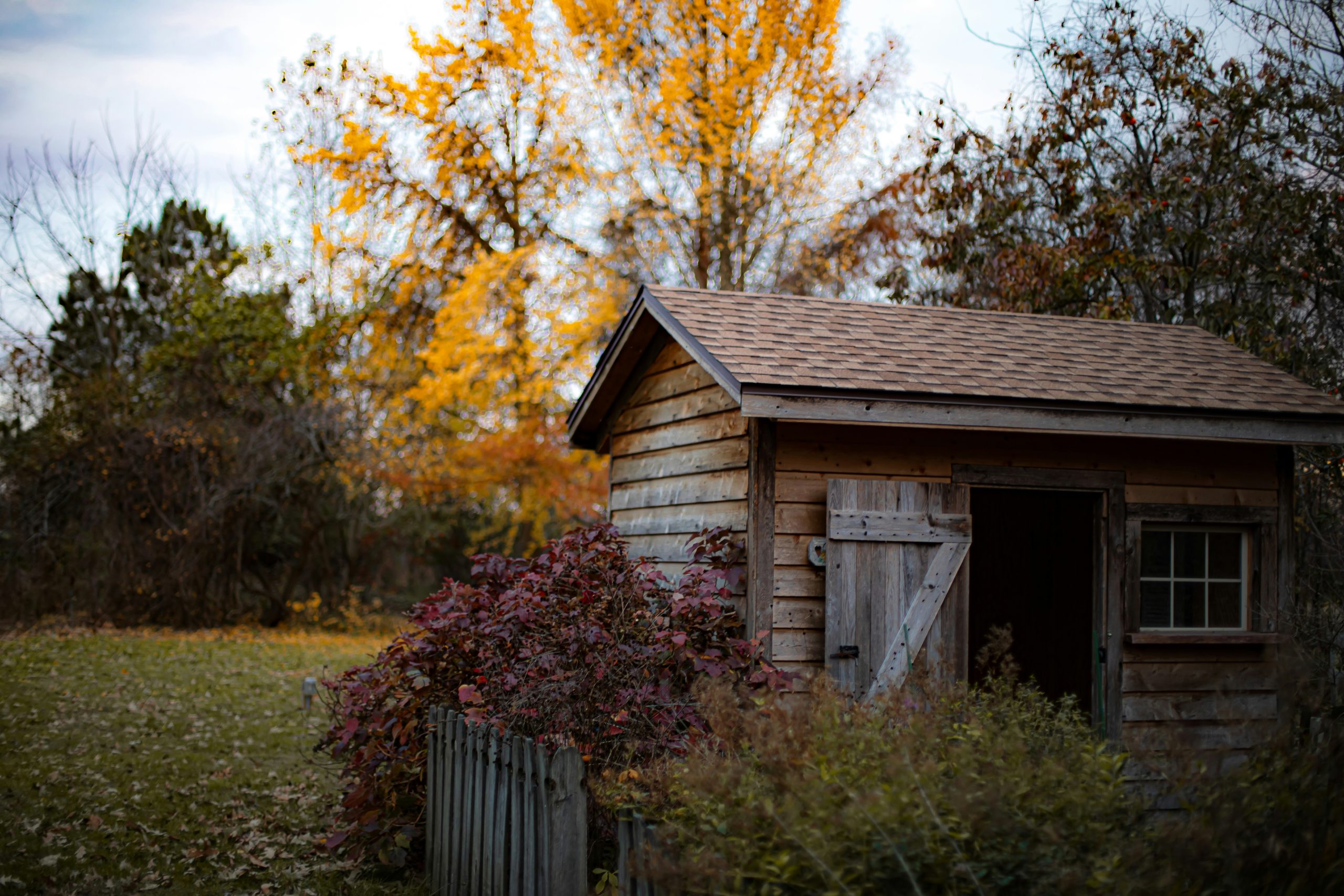 Dreamy shed ideas for him and her