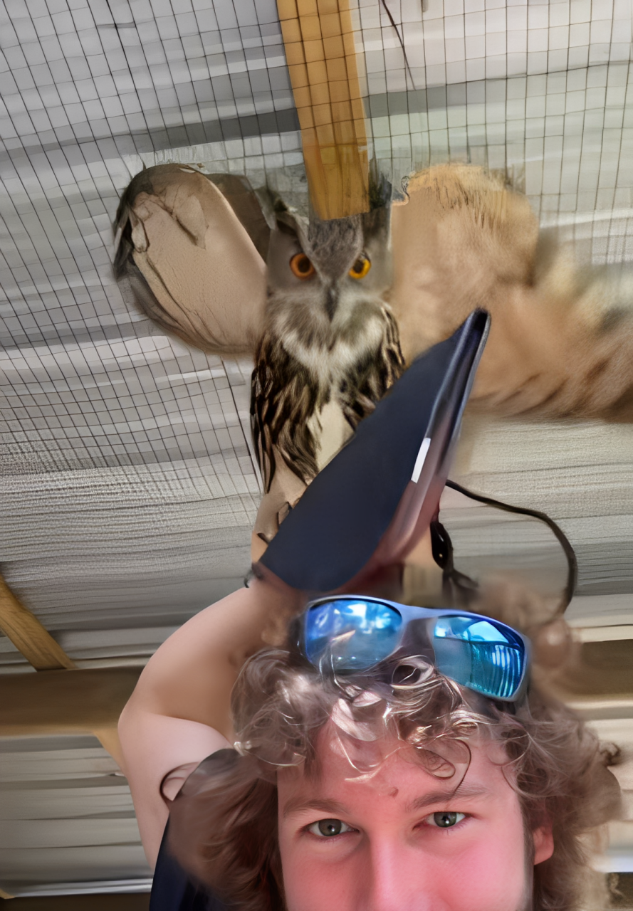 Owl loves me too much!