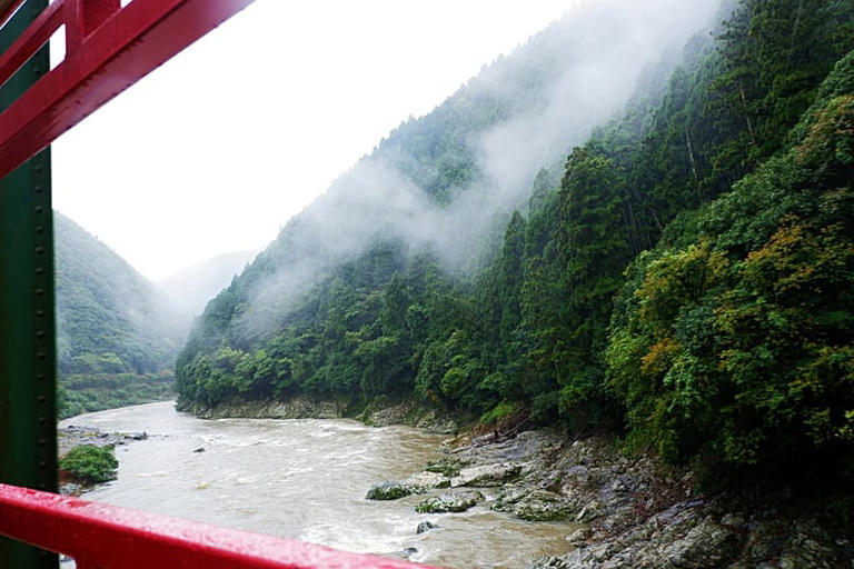These train journeys have the best views, according to eye-tracking ...