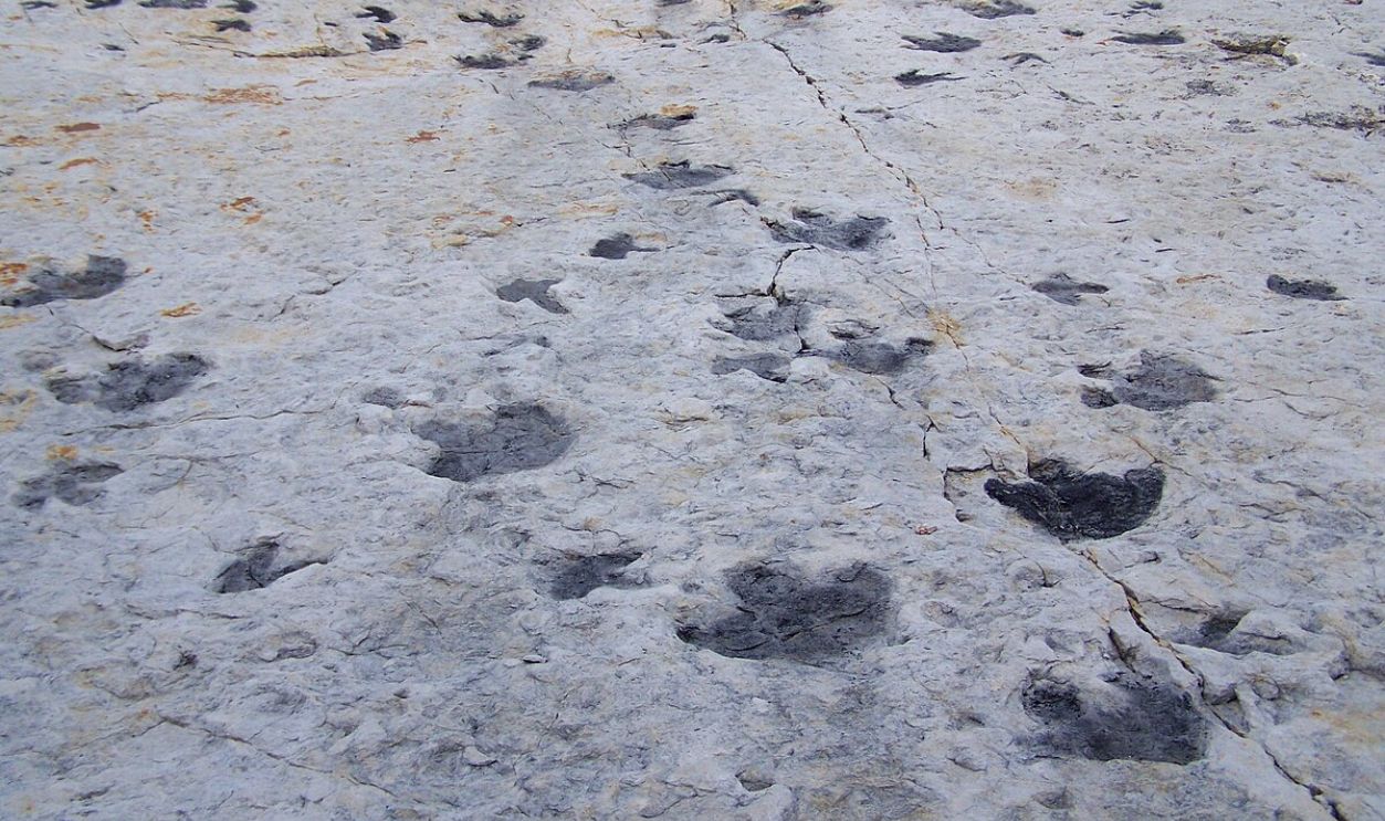 Hiker in the Italian Alps finds a 280-million-year-old link to the ...