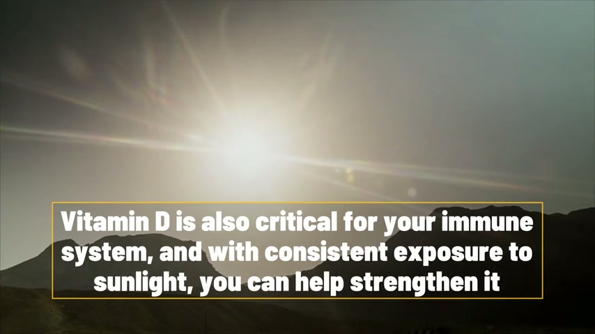 Why daily exposure to sunlight is good for you