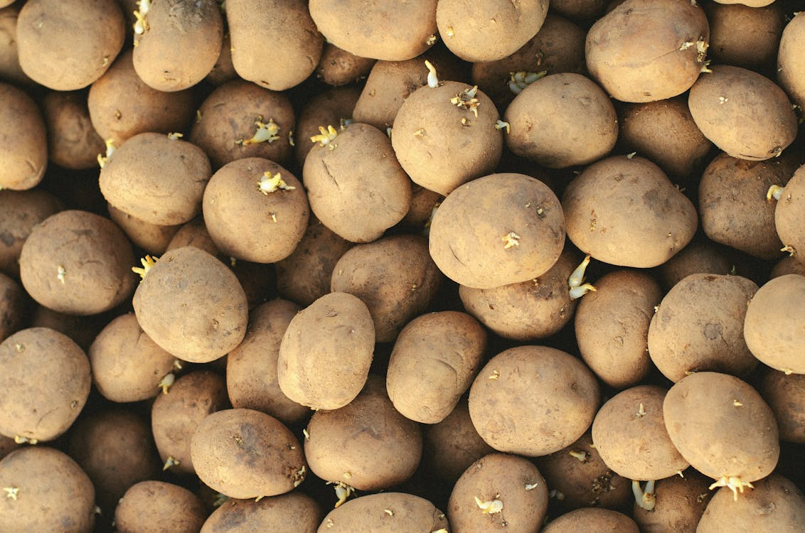 Sprouted potatoes could be risky for you: A toxicologist finally clears ...