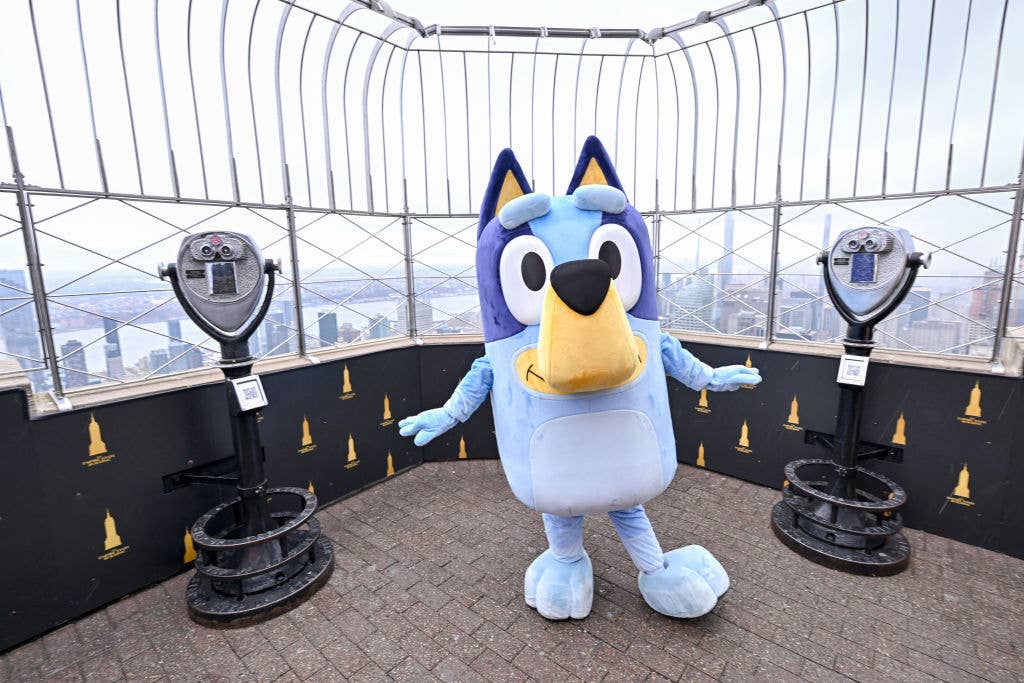 Vet reveals Bluey’s breed and real-life traits