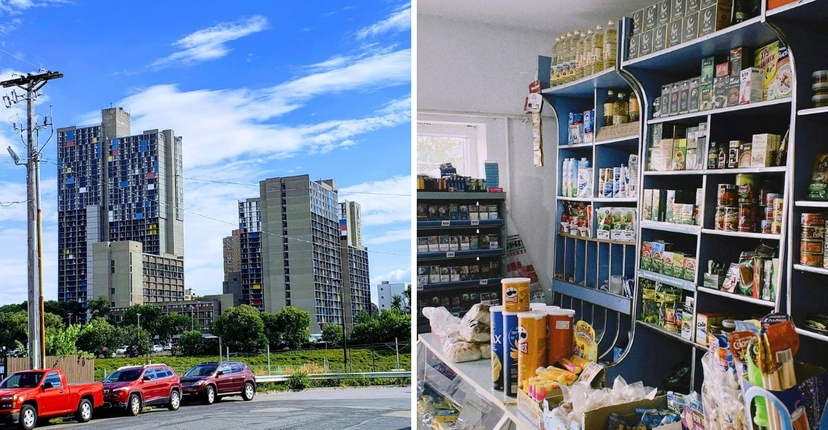 An exotic journey to the Somali horn of Africa in Minnesota