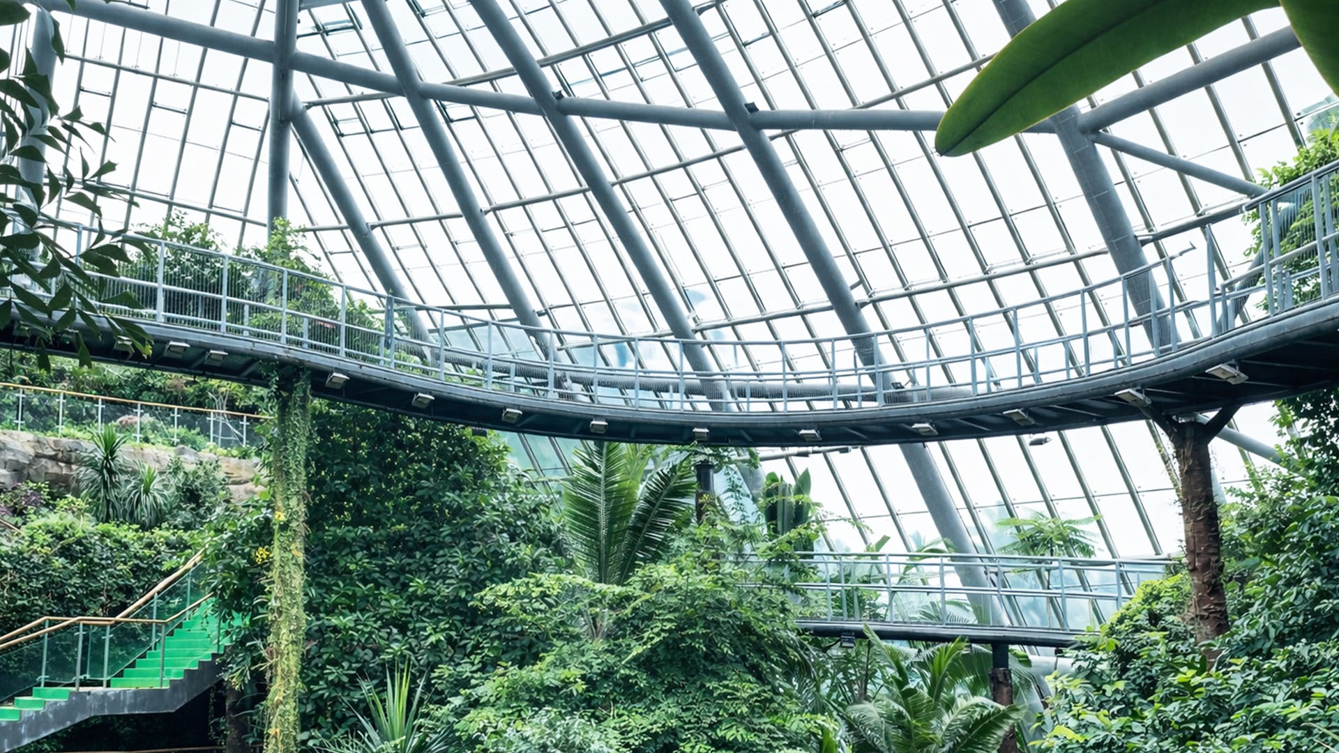 Layered forest in China dome creates a calm indoor environment