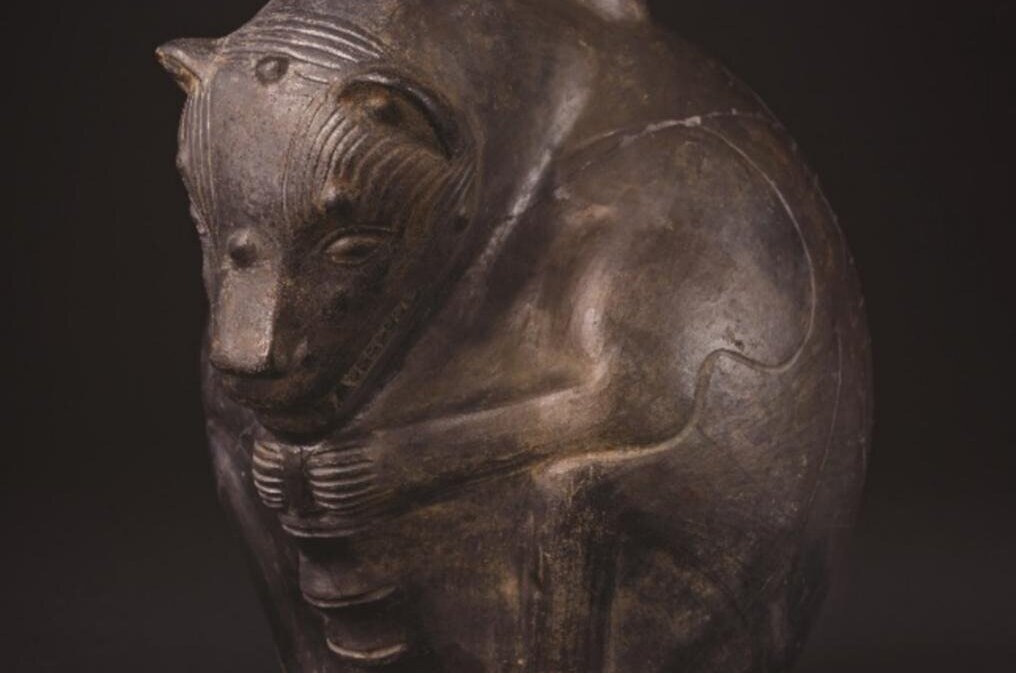 First physical evidence of Peruvian hairless dogs at Wari site ...