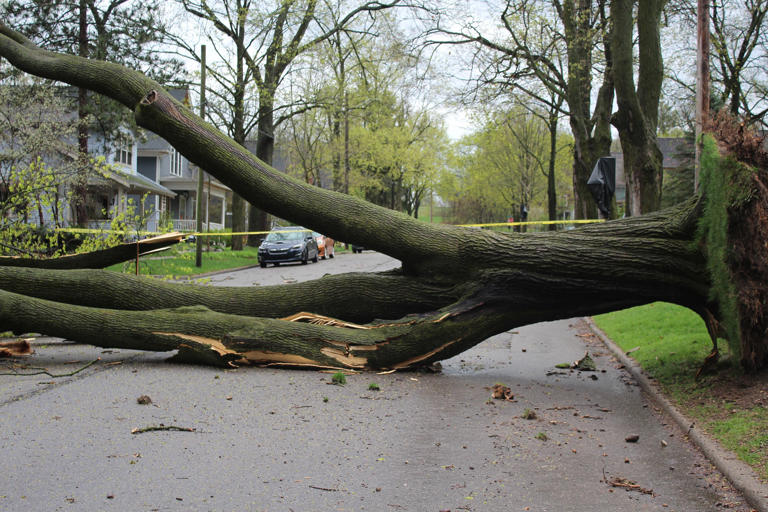 What to know about the high-wind storm that battered Ann Arbor and beyond